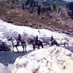 Lowari Top, Pakistan “Snow Covered Mountain Between Dir and Chitral ...